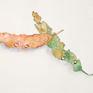 Leaves – Martha McNulty